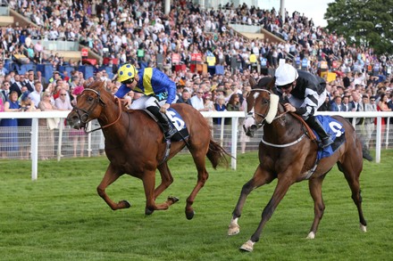 Jockey Joanna Mason During York Race Editorial Stock Photo - Stock ...