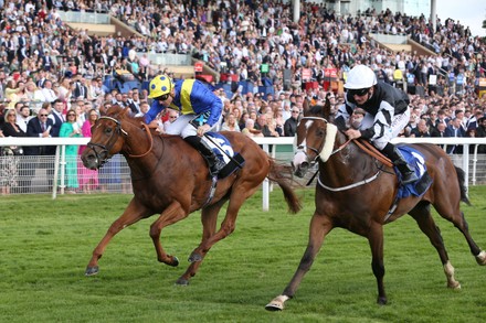 Jockey Joanna Mason During York Race Editorial Stock Photo - Stock ...