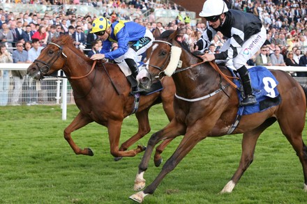 4,000 Yorkshire cup Stock Pictures, Editorial Images and Stock Photos ...