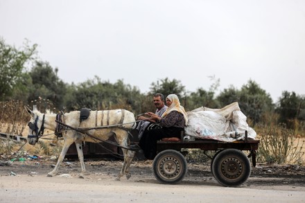 Palestinians Ride Donkey Cart East Gaza Editorial Stock Photo - Stock ...