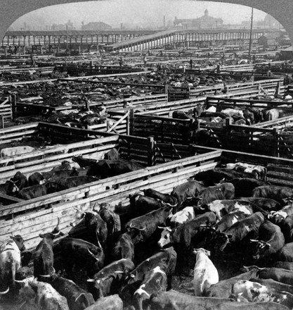 Great Union Stock Yards Chicago Illinois Editorial Stock Photo - Stock ...