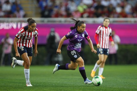 Casandra Montero L Chivas Disputes Ball Editorial Stock Photo - Stock ...