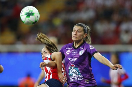 Araceli Torres L Guadalajara Action Against Editorial Stock Photo ...