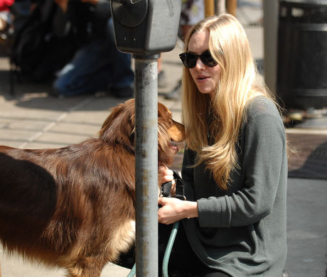 Amanda Seyfried Her Dog Editorial Stock Photo - Stock Image | Shutterstock