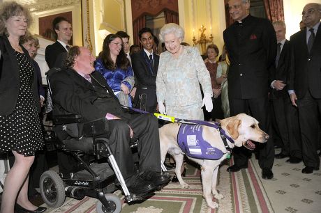 queen elizabeth ii animals Stock Photos (Exclusive) | Shutterstock
