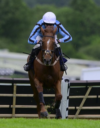 Martha Burell Ridden By Harry Kimber Editorial Stock Photo - Stock ...