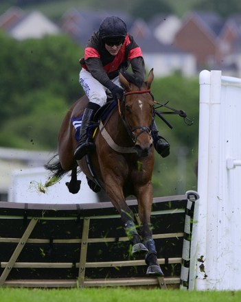 Martha Burell Ridden By Harry Kimber Editorial Stock Photo - Stock ...