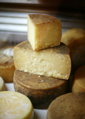 Pictured Pecorino Ricotta Making Bertagni Family Editorial Stock Photo ...