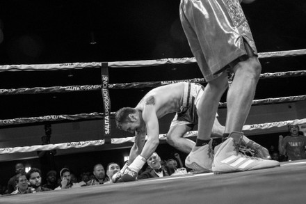 7,000 Boxing team Stock Pictures, Editorial Images and Stock Photos ...