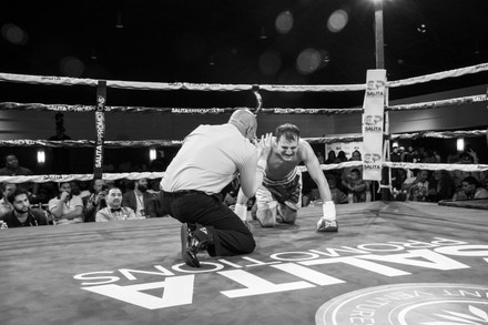7,000 Boxing team Stock Pictures, Editorial Images and Stock Photos ...