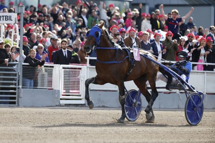 500 Harness race Stock Pictures, Editorial Images and Stock Photos ...