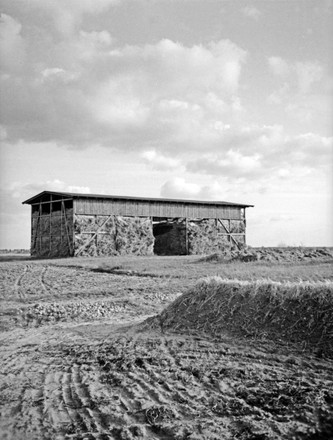 Barn Soil Field South Koenigsberg East Editorial Stock Photo - Stock ...