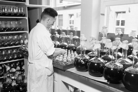 Lab Assistant Labeling Bottled Medicine Samples Editorial Stock Photo ...