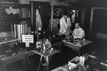 Scientific Staff Members Test Arrangement Laboratory Editorial Stock ...