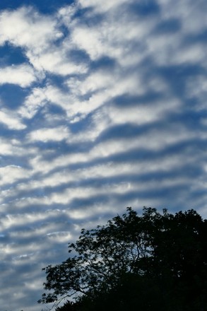 Undulatus Clouds Early Mornings Sky They Editorial Stock Photo - Stock ...