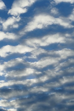 Undulatus Clouds Early Mornings Sky They Editorial Stock Photo - Stock ...