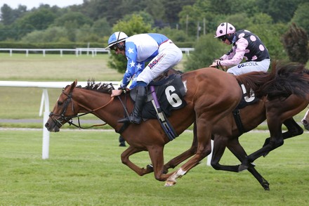 8 Horse stumble Stock Pictures, Editorial Images and Stock Photos ...