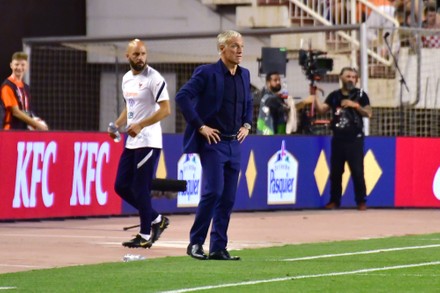 Guy Stephan Head Coach France During Editorial Stock Photo - Stock ...