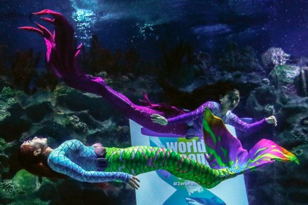 Divers Dressed Mermaids Perform During World Editorial Stock Photo ...