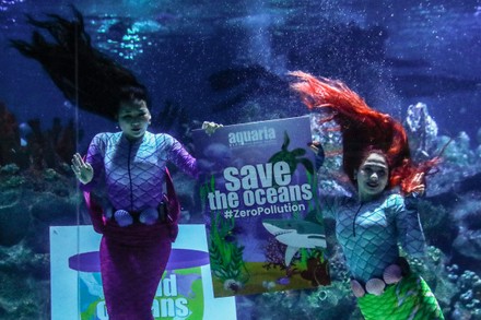 Divers Dressed Mermaids Perform During World Editorial Stock Photo ...