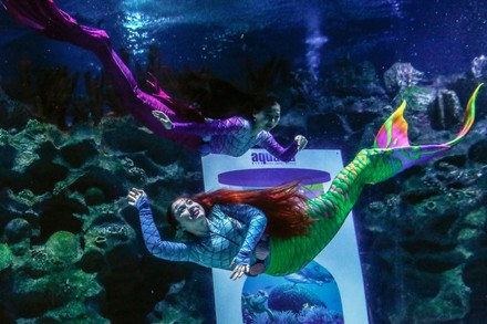 Divers Dressed Mermaids Perform During World Editorial Stock Photo ...