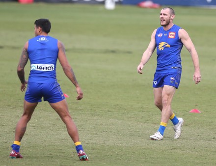 Luke Shuey West Coast Eagles Football Editorial Stock Photo - Stock ...