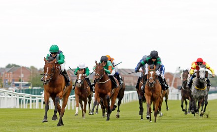 Kings Castle Taryn Langley Wins Ocs Editorial Stock Photo - Stock Image ...