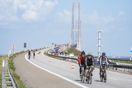 Riders Cross Great Belt Storebaelt Bridge Editorial Stock Photo - Stock ...
