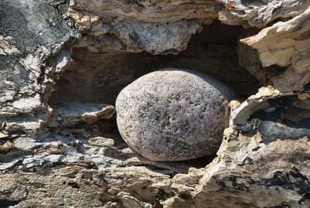 Fossilbearing Strata Wadi Hitan World Heritage Editorial Stock Photo ...