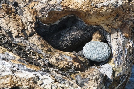 Fossilbearing Strata Wadi Hitan World Heritage Editorial Stock Photo ...