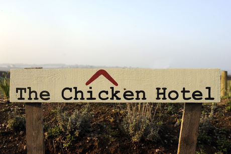 Chicken Hotel, where owners leave their chickens when they go on ...