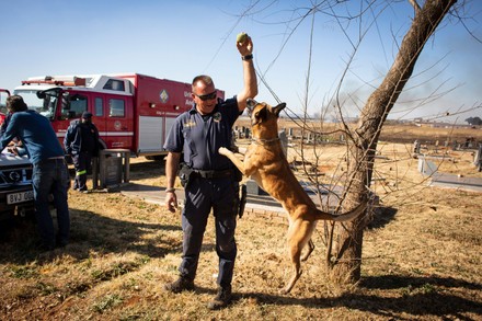 Member Saps South African Police Force Editorial Stock Photo - Stock ...