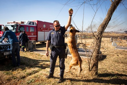 Member Saps South African Police Force Editorial Stock Photo - Stock ...