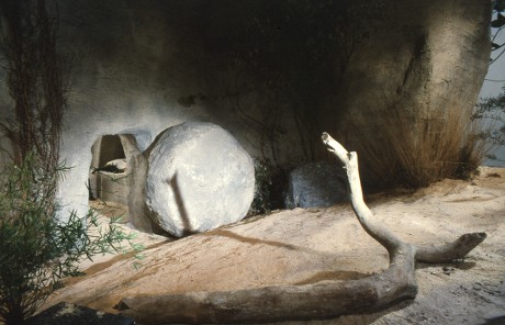Jesus Evidence Editorial Stock Photo - Stock Image | Shutterstock