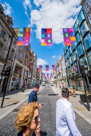 Contemporary British Artist Mali Morris Ra Editorial Stock Photo ...