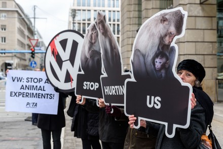 Activists Animal Rights Organization Peta Calling Editorial Stock Photo ...