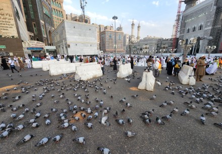 Muslim pilgrims feed pigeons near the Grand mosque, Mecca, Saudi Arabia ...