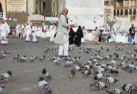 Muslim pilgrims feed pigeons near the Grand mosque, Mecca, Saudi Arabia ...
