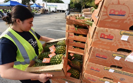 500 Food box distribution Stock Pictures, Editorial Images and Stock ...