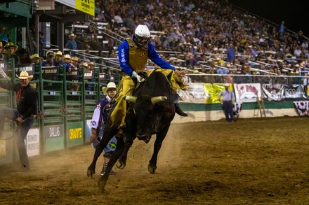 Reno Rodeo winners in US - 25 Jun 2022 Stock Pictures, Editorial Images ...