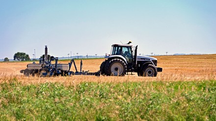 16 Reseeding Stock Pictures, Editorial Images and Stock Photos ...