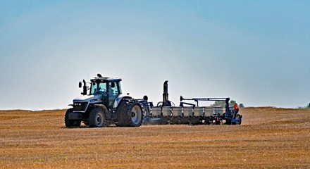 16 Reseeding Stock Pictures, Editorial Images and Stock Photos ...
