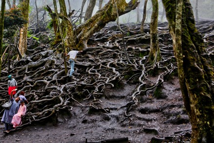 19 Guna caves Stock Pictures, Editorial Images and Stock Photos ...