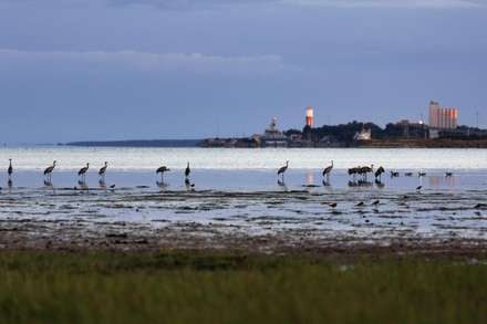 2,000 Craney island Stock Pictures, Editorial Images and Stock Photos ...