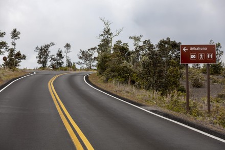 Warning Sign Road Sign Nene Hawaiigans Editorial Stock Photo - Stock ...