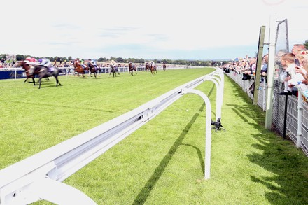 750 Beverley racecourse Stock Pictures, Editorial Images and Stock ...