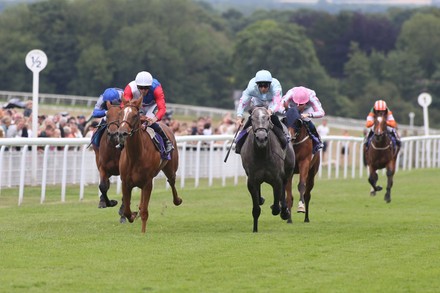 750 Beverley racecourse Stock Pictures, Editorial Images and Stock ...