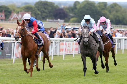 750 Beverley racecourse Stock Pictures, Editorial Images and Stock ...