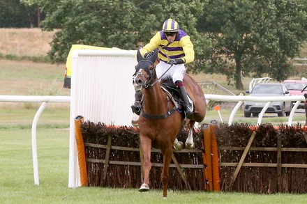 Ask Paddington 3 Ridden By Nathan Editorial Stock Photo - Stock Image ...