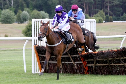 Mac Suibhne 2 Ridden By Emma Editorial Stock Photo - Stock Image ...